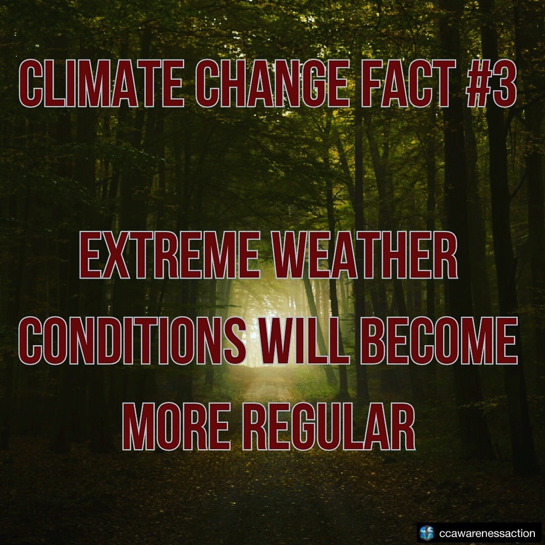 Scary Climate Change Facts to Haunt your Halloween - Climate Change ...
