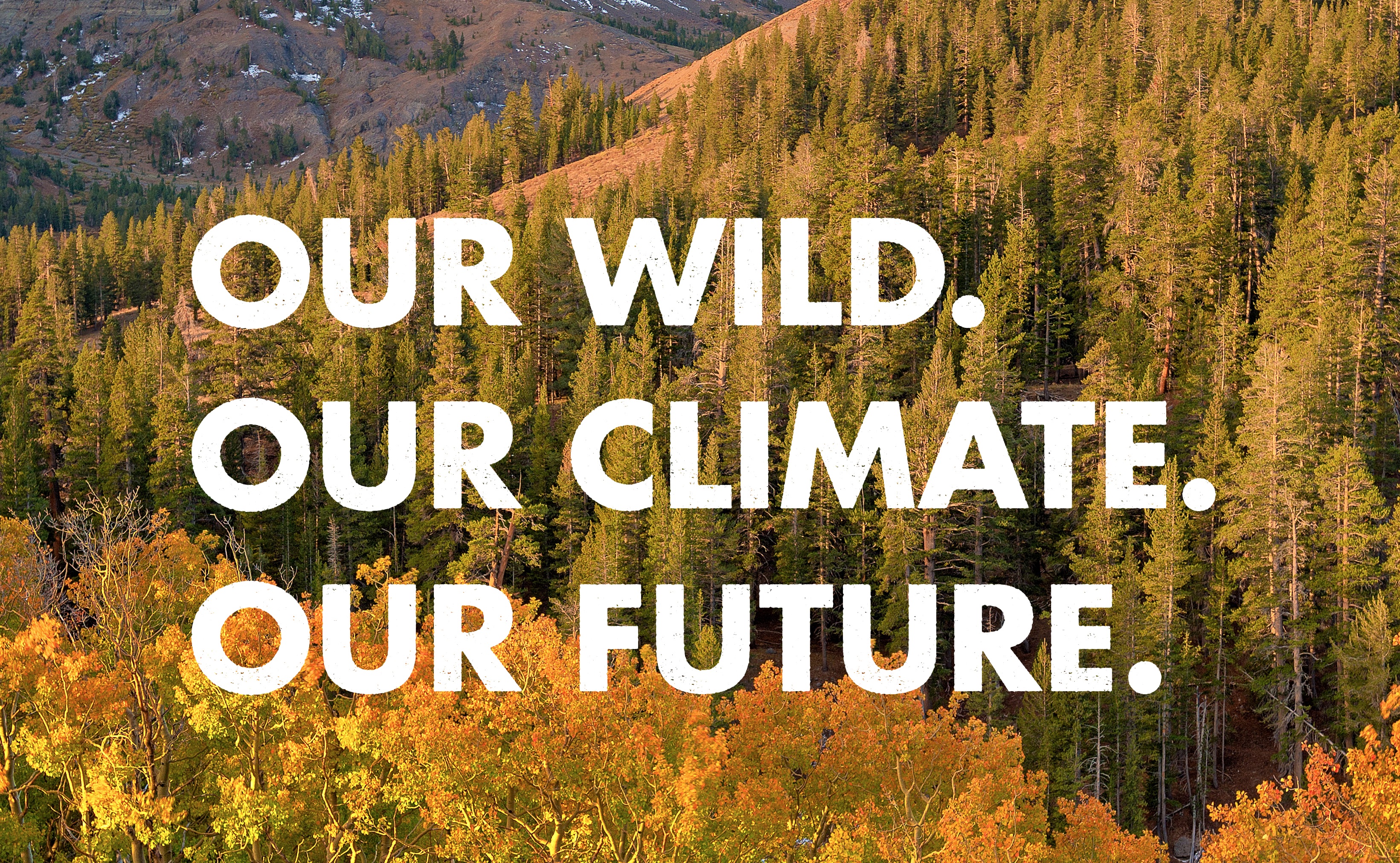 2017-People’s Climate March- Central New York – Climate Change ...